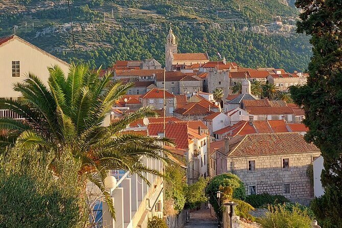 1 Hour Private Walking Tour in Korcula - Who Should Consider This Tour?