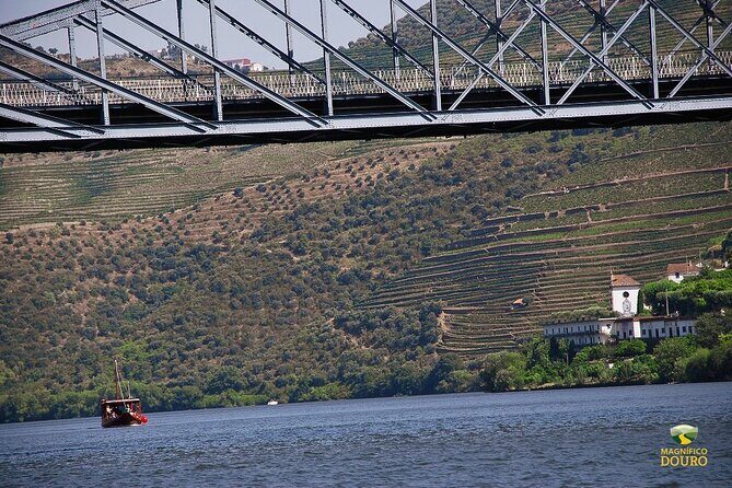 1-Hour Rabelo Boat Trip in Pinhão - The Itinerary: A Simple but Scenic Route Through the Douro