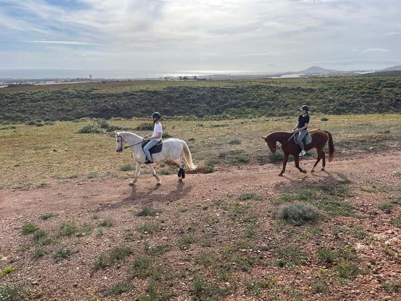 1 hour relaxing horse riding tour in Gran Canaria - An Overview of the Experience