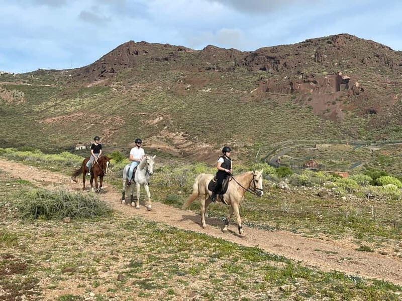 1 hour relaxing horse riding tour in Gran Canaria - The Ride and Learning Opportunities