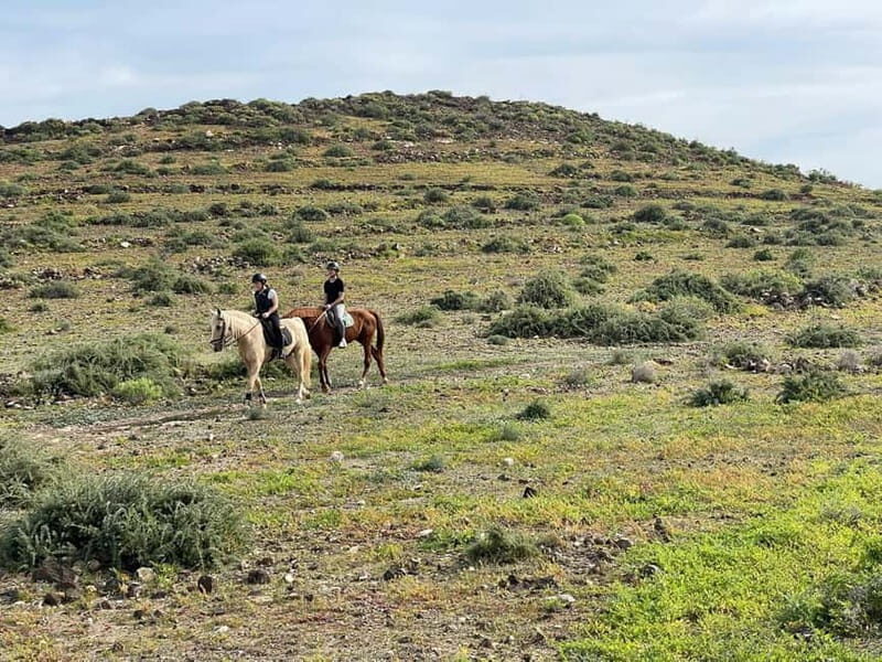 1 hour relaxing horse riding tour in Gran Canaria - Authentic Experiences from Other Travelers