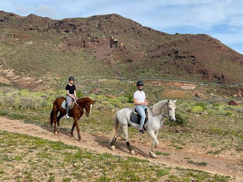 1 hour relaxing horse riding tour in Gran Canaria - Why This Tour Is Worth Considering