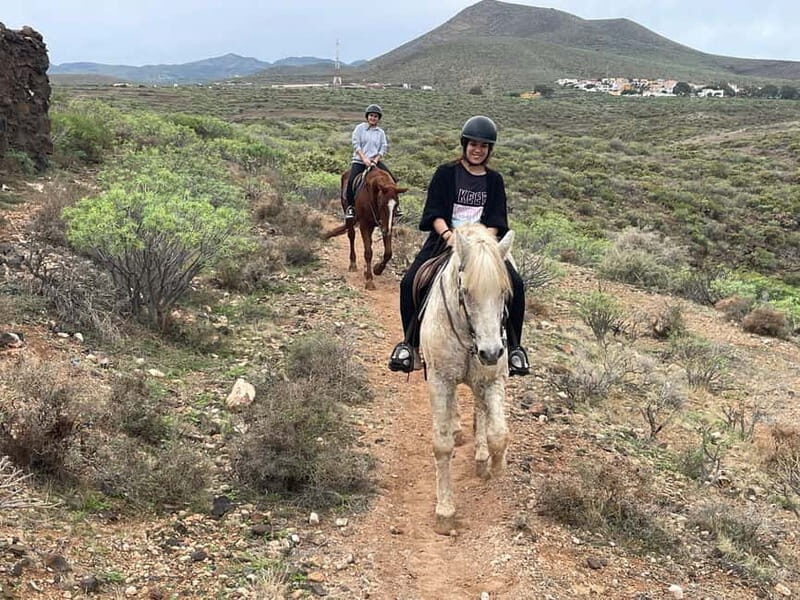 1 hour relaxing horse riding tour in Gran Canaria - Who Will Love This Experience