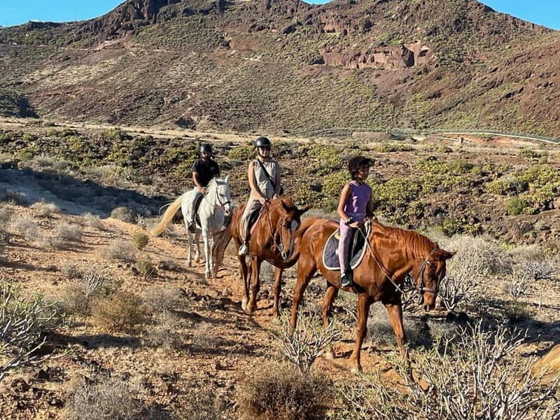1 hour relaxing horse riding tour in Gran Canaria - The Sum Up