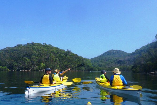1 Hour Rental Deluxe Double Sea Kayak - Discovering the Sydney Harbour Kayaks Experience