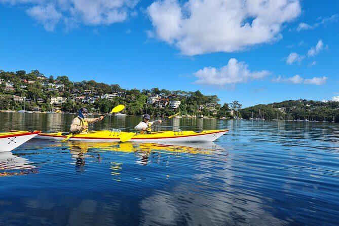 1 Hour Rental in a Deluxe Double Sea Kayak - Dive into Sydney’s Middle Harbour: What to Expect