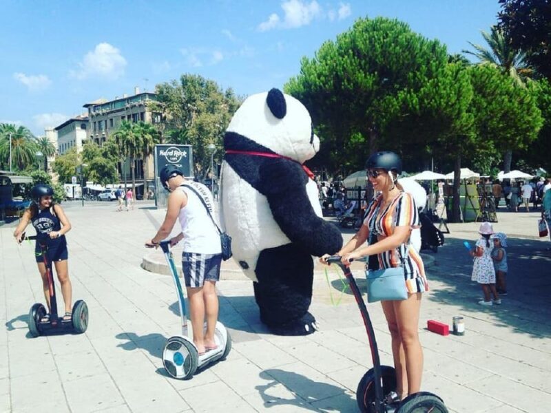 1 Hour Segway tour in Palma de Mallorca - Why This Tour Works for You