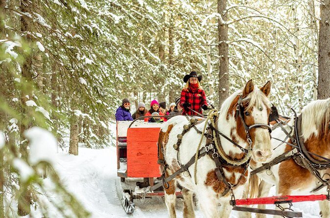 1 Hour Shared Winter Sleigh Ride Experience in Kananaskis - Frequently Asked Questions
