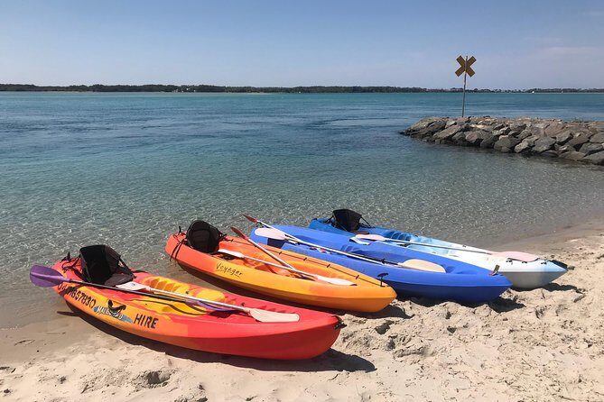 1-Hour Single or Double Kayak Hire @ Golden Beach - Exploring the Experience: What to Expect