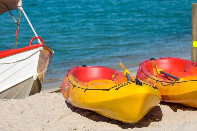 1 Hour Single or Double Kayak Rental to the Nth Bribie Island - Practical Details and Booking