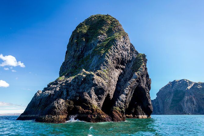 1-Hour Small Group Sightseeing Boat Tour in Vestmannaeyjar - Practical Tips for Future Travelers