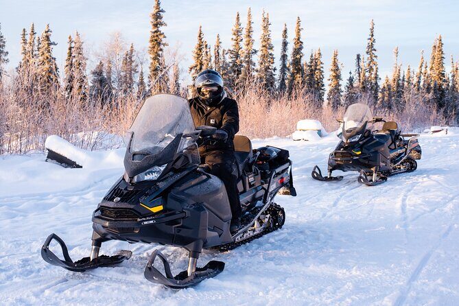 1 Hour Snowmobile Adventure in Boreal Forest - Final Thoughts: Is It Worth It?