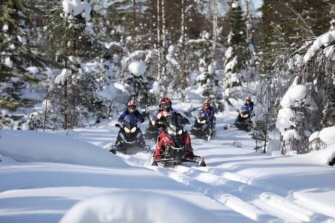 1-Hour Snowmobile Safari Adventure in Rovaniemi - The Practicalities: Booking, Group Size, and Cost