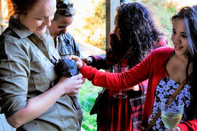 1-Hour Tasmanian Devil Feeding Day Tour at Cradle Mountain - The Sum Up