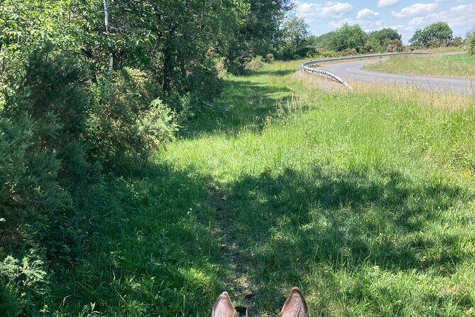 1-hour tourist walk with guide - Who Should Consider This Tour?