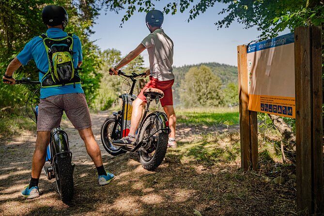 1 hour walk - The Gabarres river route - What Travelers Are Saying