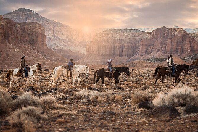 1-Hour Western Horse Ride - Who Will Love This Experience?