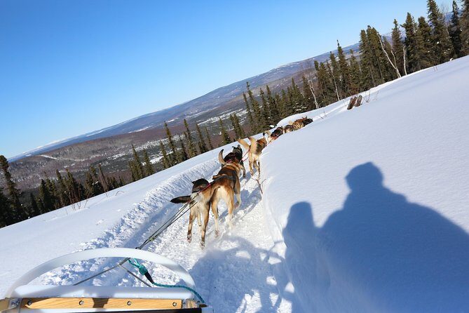 1 hour Winter Dog Sledding in Fairbanks - FAQ