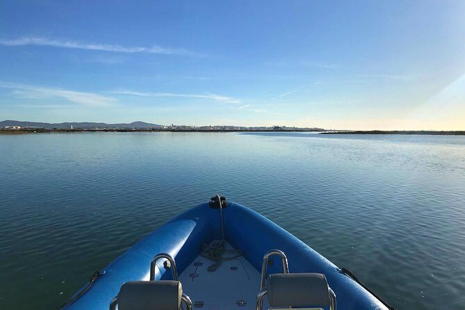 1 or 2 Hour Speed Boat Tour - Ria Formosa - The Itinerary: What to Expect on Your Speedboat Adventure