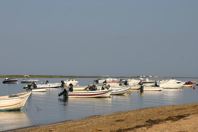 1 or 2 Hour Speed Boat Tour - Ria Formosa - Final Summary