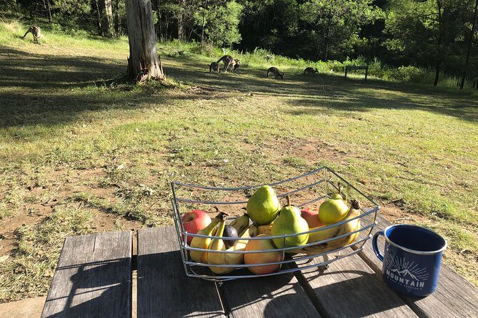 #1 Private Blue Mountains Tour by authentic story telling locals - Who Is This Tour Best For?