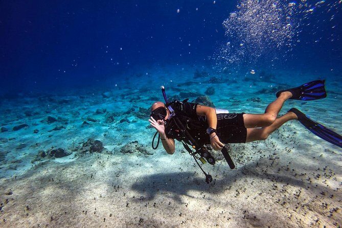 1 Tank Guided Shore Dive Including Equipment - Why You’ll Love This Shore Dive