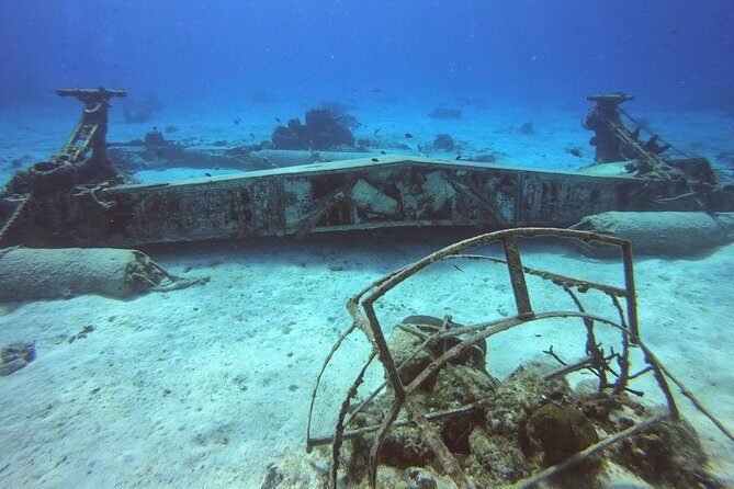 1 Tank Guided Shore Dive Including Equipment - Practical Details and Considerations