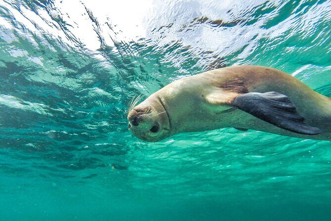 10-Day Adelaide to Perth Adventure Tour - FAQ  