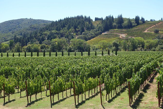 10-Hour Napa Valley Wine Tasting Tour Customized Private Tours - Exploring the Experience: What to Expect