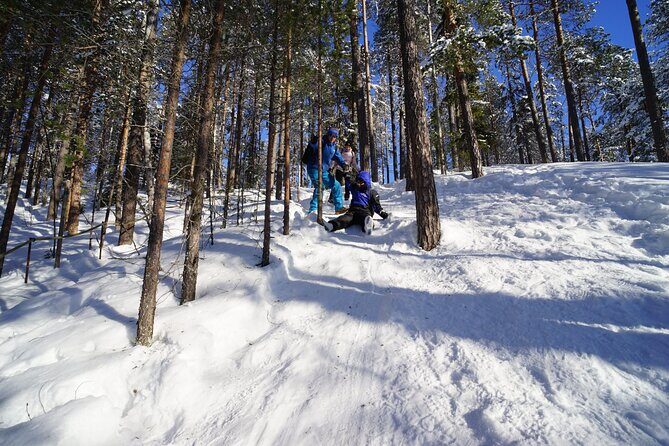 10 km Authentic Husky Safari in the Taiga Forest  Family Kennel - Introduction