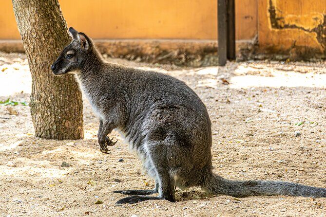 100% Customize Private One Day Tour in Sydney - Final Thoughts