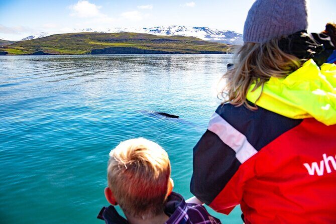 100% Whale Watching - What Makes This Whale Watching Tour Stand Out?