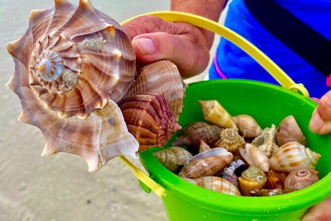 10K Islands Private Shelling Tour - The Sum Up: Who Is It Best For?