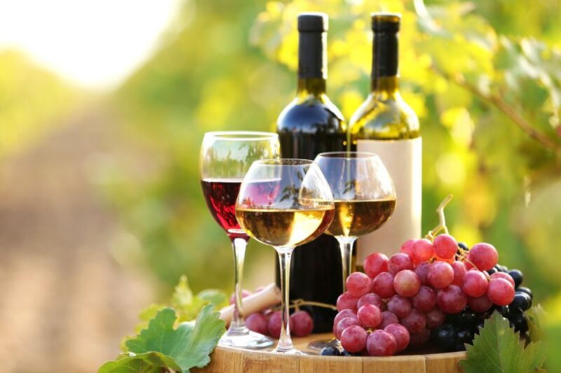 11 Course Lunch, Wine Tasting & Cooking Mastery in Rhodes - Review Highlights and Caveats