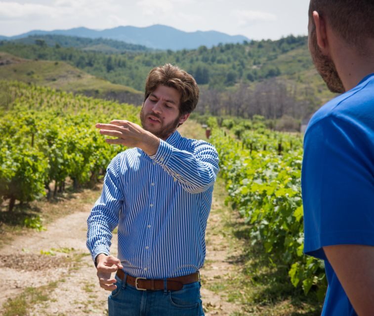 11 Course Lunch, Wine Tasting & Cooking Mastery in Rhodes - The Sum Up: Is It Worth It?