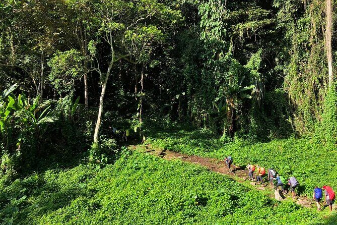 11 Day Kokoda Trek Australian and Local Guides - Final Thoughts: Is This Tour for You?