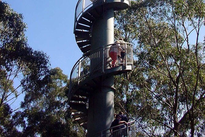 12 Apostles and Otway Fly Zipline Day Trip from Melbourne - Food, Relaxation, and Optional Extras