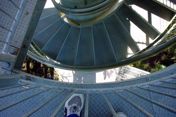 12 Apostles and Otway Fly Zipline Day Trip from Melbourne - Who Should Consider This Tour?