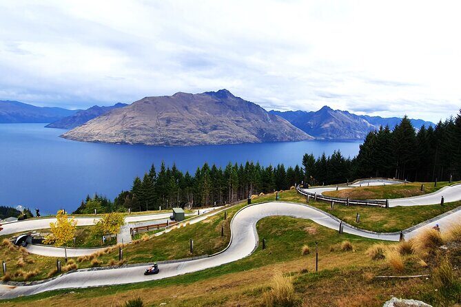 12 Day New Zealand Private Tour from Auckland to Queenstown - An Overview of the Experience