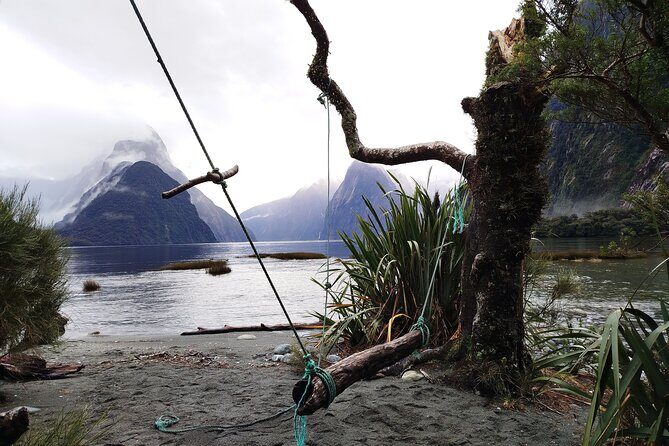 12 Day New Zealand Private Tour from Auckland to Queenstown - South Island Wonders