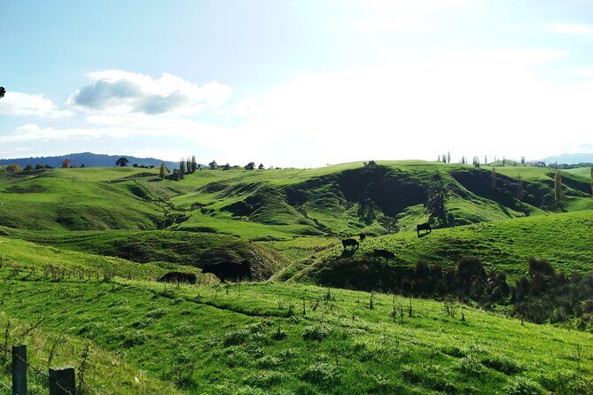 12 Day New Zealand Private Tour from Auckland to Queenstown - Who Will Love This Tour?