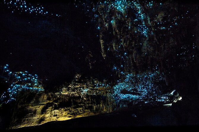 12-Hour LOTR Trollshaws & Waitomo Glowworm Tour - An In-Depth Look at the Tour Experience