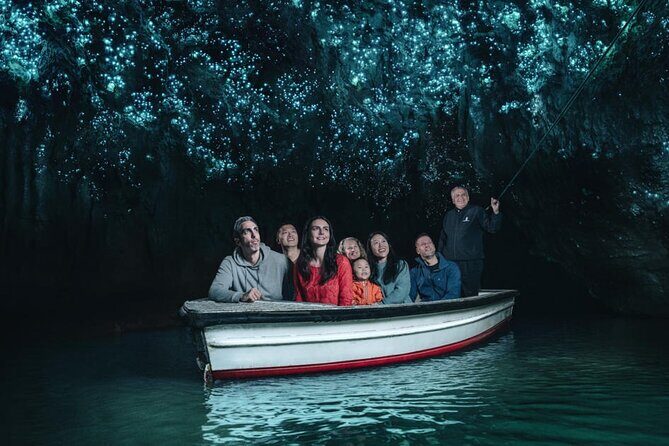 12-Hour LOTR Trollshaws & Waitomo Glowworm Tour - Pricing and Value Assessment