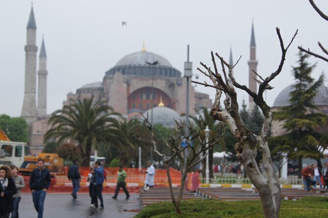 1,2 or 3 DAY: Private Guided Istanbul Tour from CRUISE SHIP or HOTEL - Who Will Love This Tour?