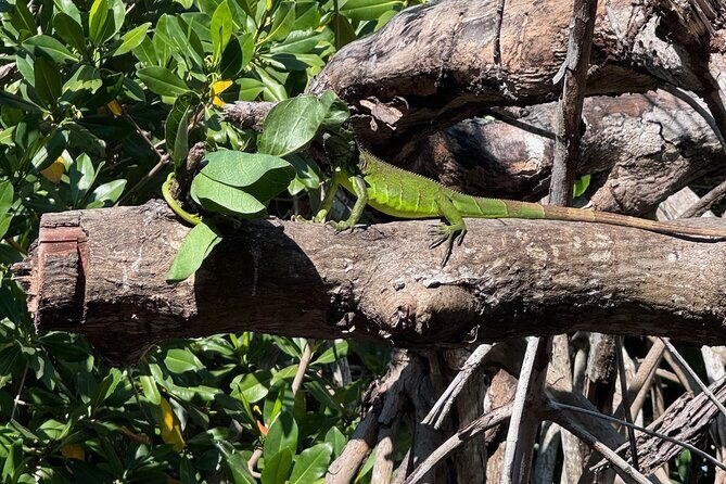 14 Day Beach Paradise Tour in Puerto Escondido Mexico - FAQ: Your Practical Questions Answered