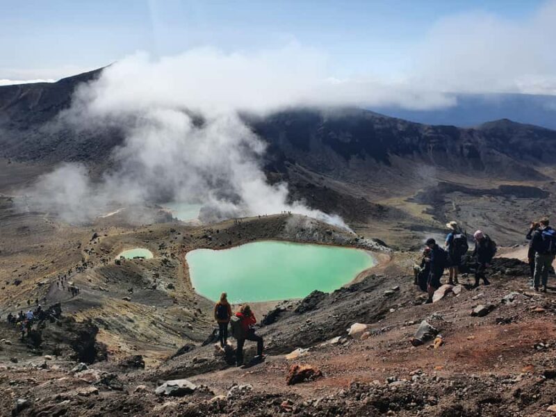 14 Day Northern Kiwi Small Group Tour - Exploring the North Island: A Deep Dive
