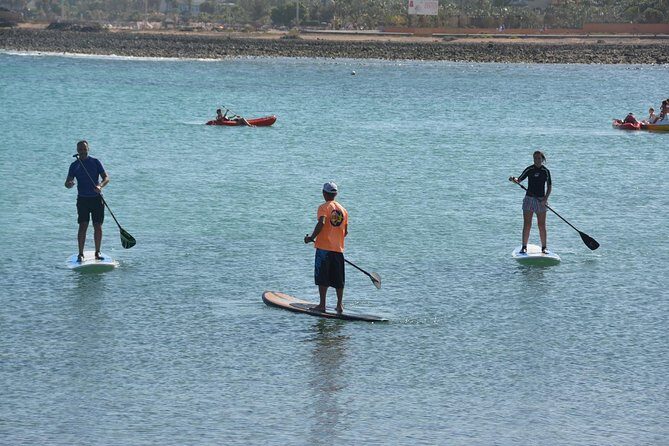 1,5-Hour Beginners Stand Up Paddle Course in Caleta de Fuste - Why You’ll Love the SUP Course in Caleta de Fuste