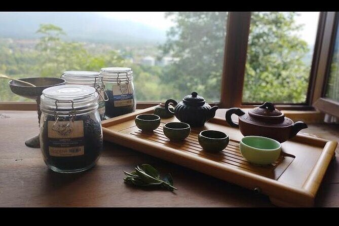 1,5 Hours Tea House and Tea Garden Trip in Ozurgeti Georgia - Key Points
