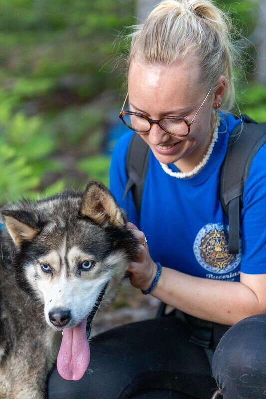 15 min. Tadoussac : Behind-the-Scenes Sled Dog Kennel Tour - The Experience Itself: A Breakdown
