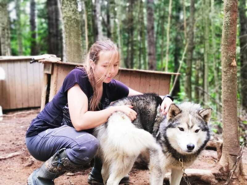 15 min. Tadoussac : Behind-the-Scenes Sled Dog Kennel Tour - FAQ